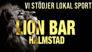 Halmstad Hammers föll mot Tyresö/Hanviken i målrik batalj